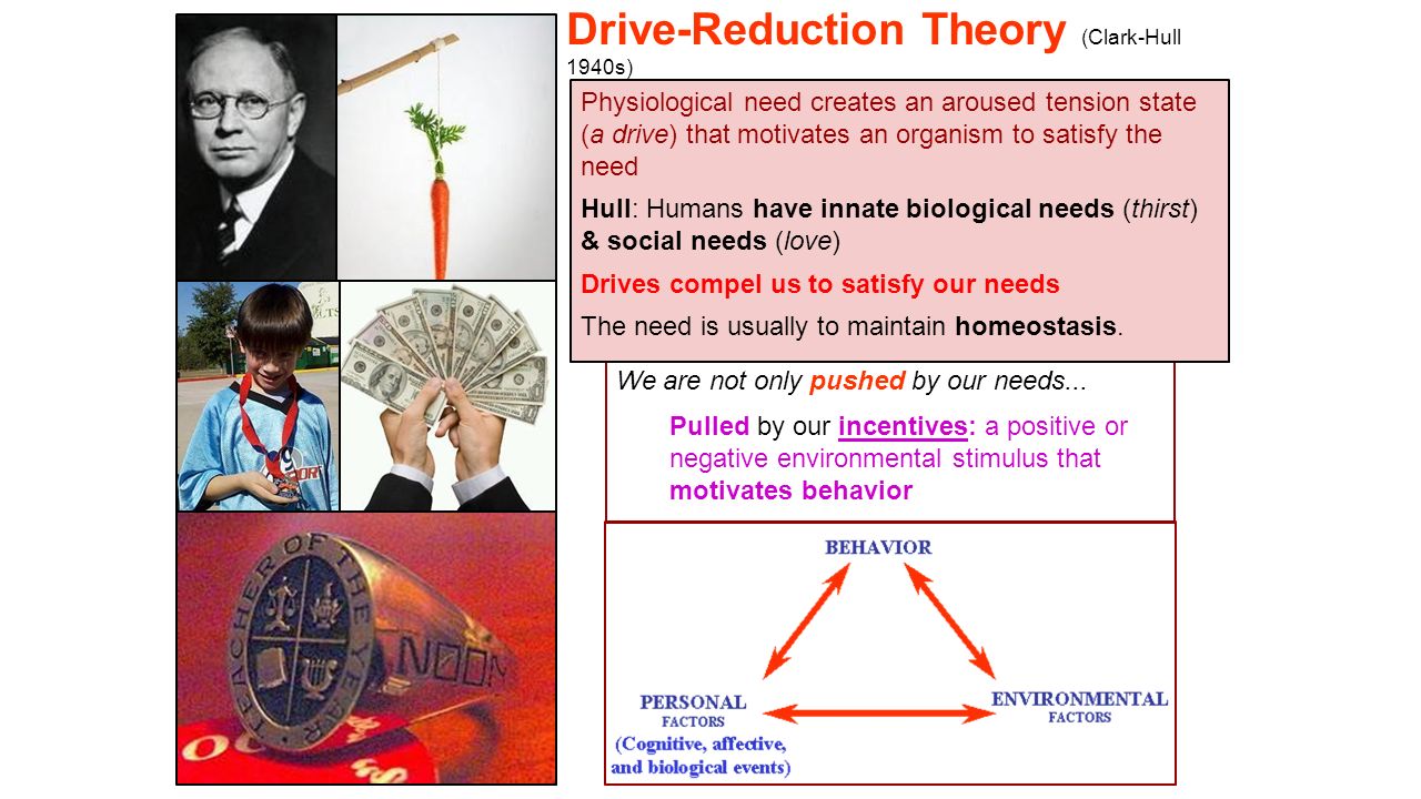 Drive Reduction Theory